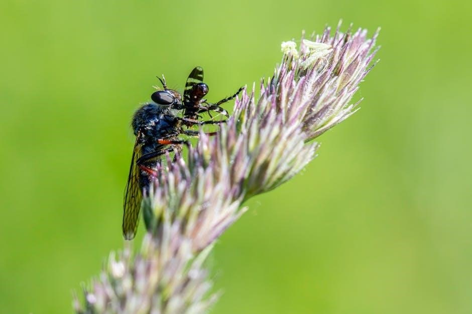 Download Nitro PDF for Free | Kuyhaa PDF Tools